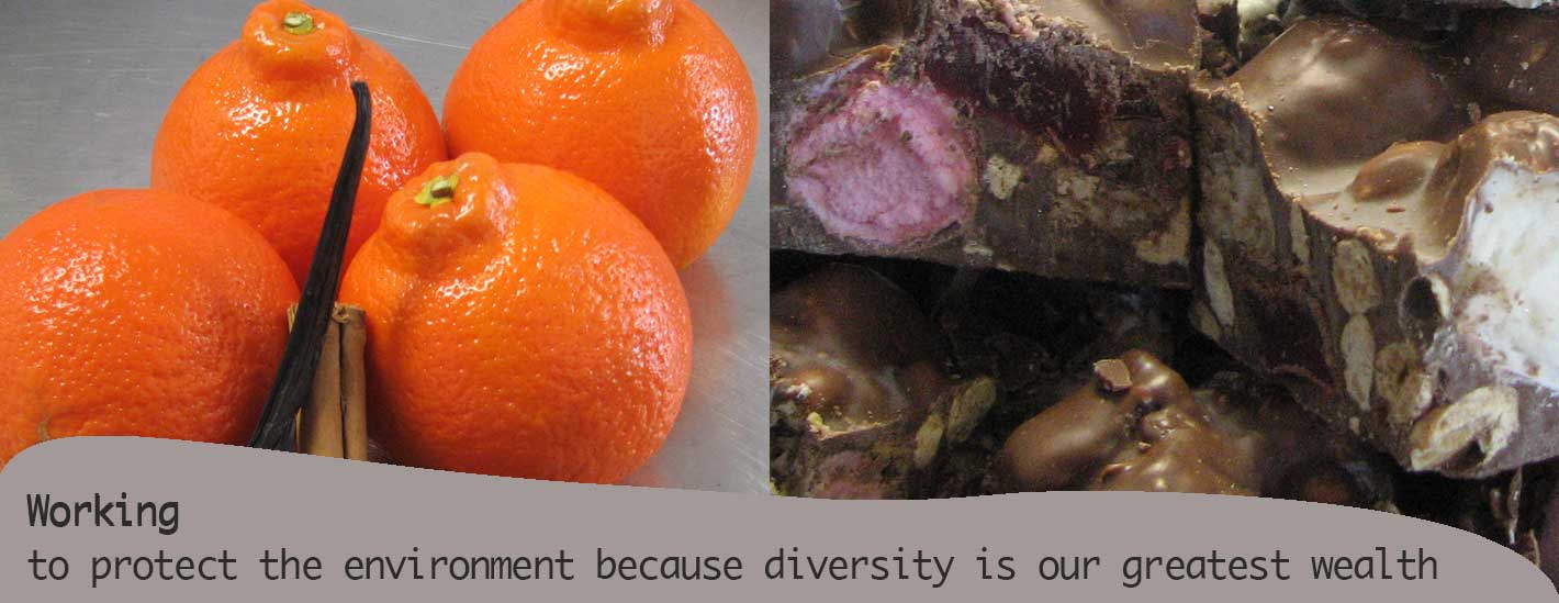 Slow Food Hunter Valley – Good, clean and fair food for all!