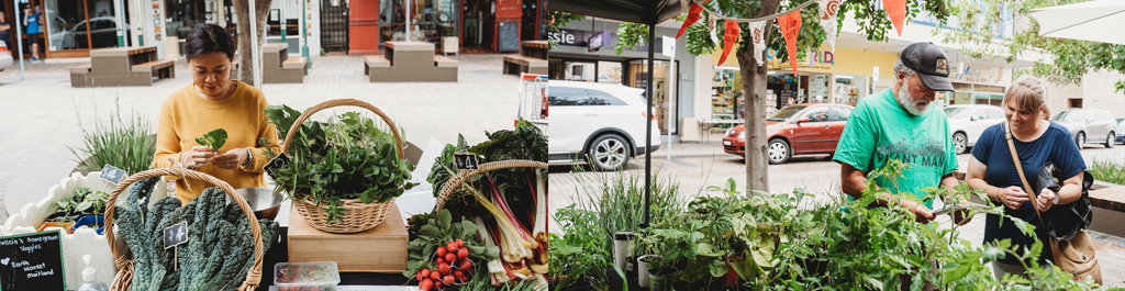 Our Stallholders – Slow Food Hunter Valley